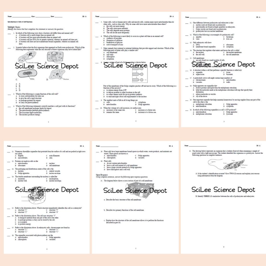 Cellular Structure and Function NO PREP Unit Bundle | Made By Teachers