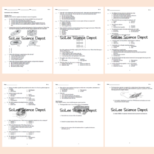 Cellular Structure and Function NO PREP Unit Bundle | Made By Teachers