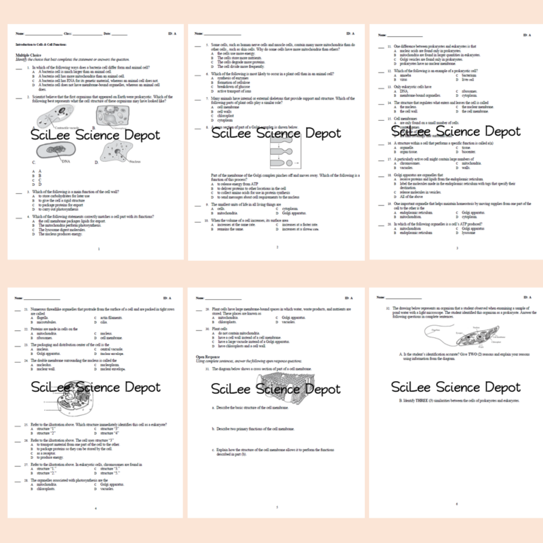 Cellular Structure and Function NO PREP Unit Bundle | Made By Teachers