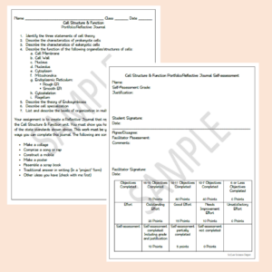 Cellular Structure and Function NO PREP Unit Bundle | Made By Teachers