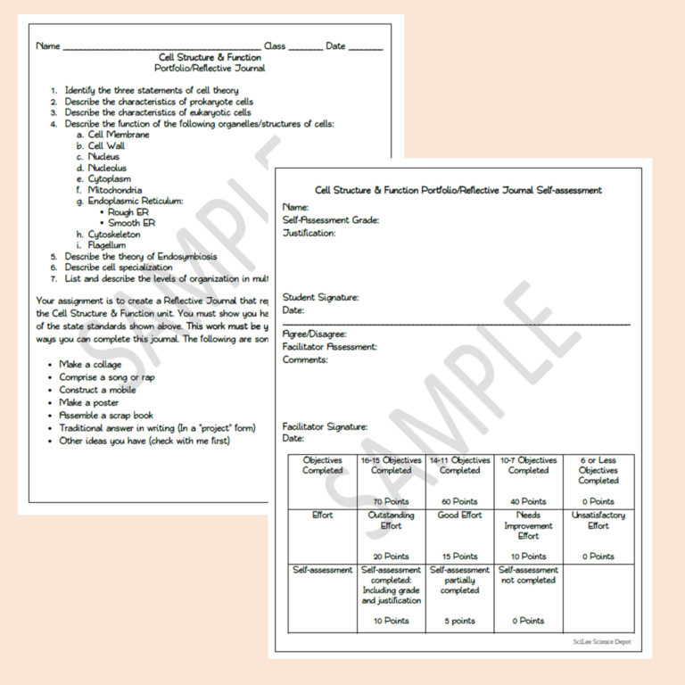 Cellular Structure and Function NO PREP Unit Bundle | Made By Teachers