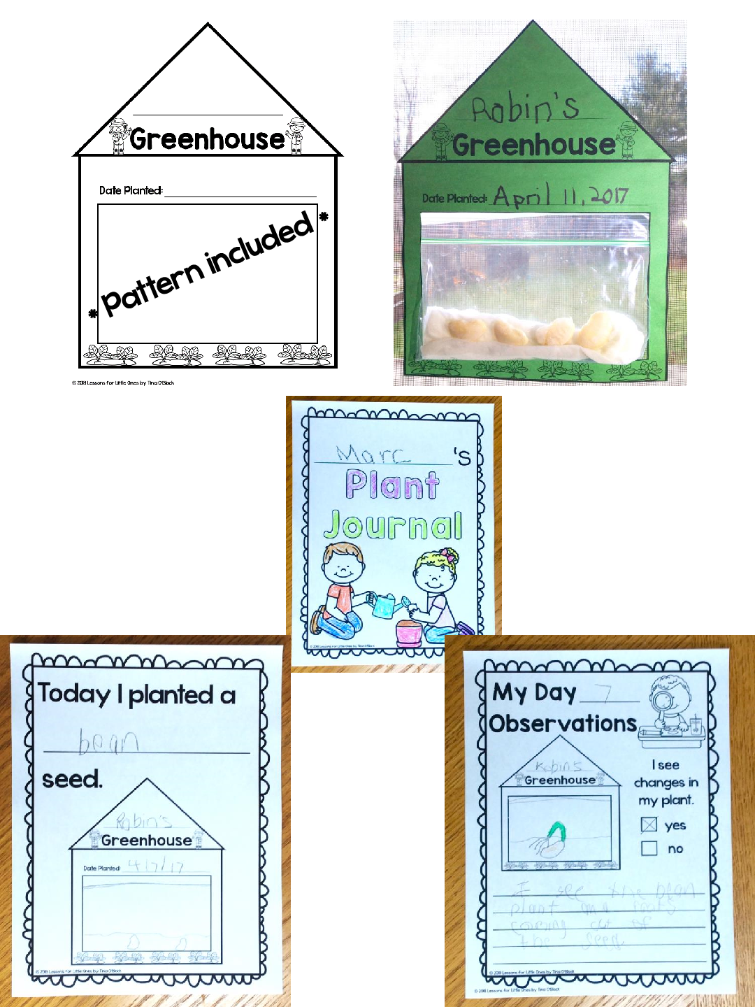 Plants Flowers Science Experiments Parts of Flower Word Wall Cards ...