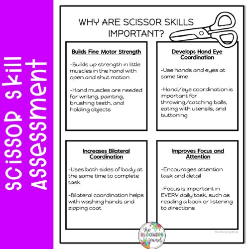 Scissor Skill Assessment | Made By Teachers