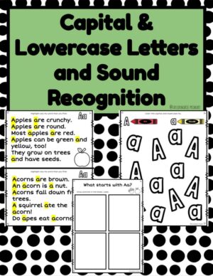 Capital & Lowercase Letters and Sound Recognition Pack | Made By Teachers