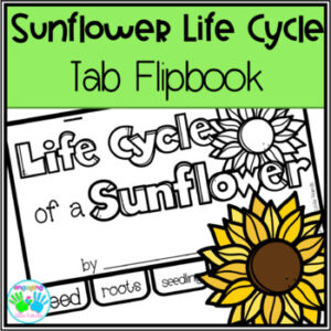 Life Cycle of a Sunflower Tab Flip book | Made By Teachers