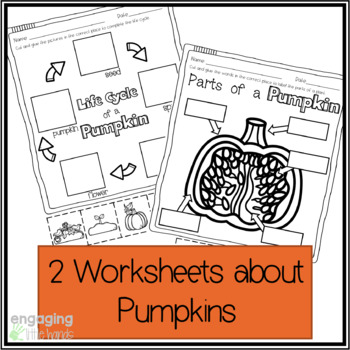 Life Cycle of a Pumpkin Tab Flip book | Made By Teachers