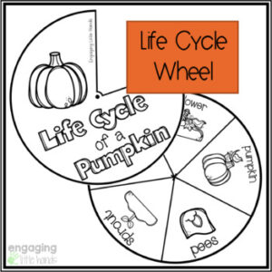 Life Cycle of a Pumpkin Tab Flip book | Made By Teachers
