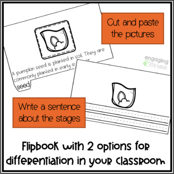 Life Cycle of a Pumpkin Tab Flip book - Made By Teachers