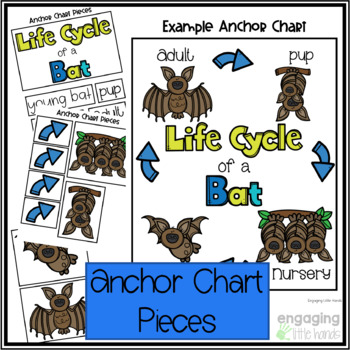 Life Cycle of a Bat Tab Flip book | Made By Teachers