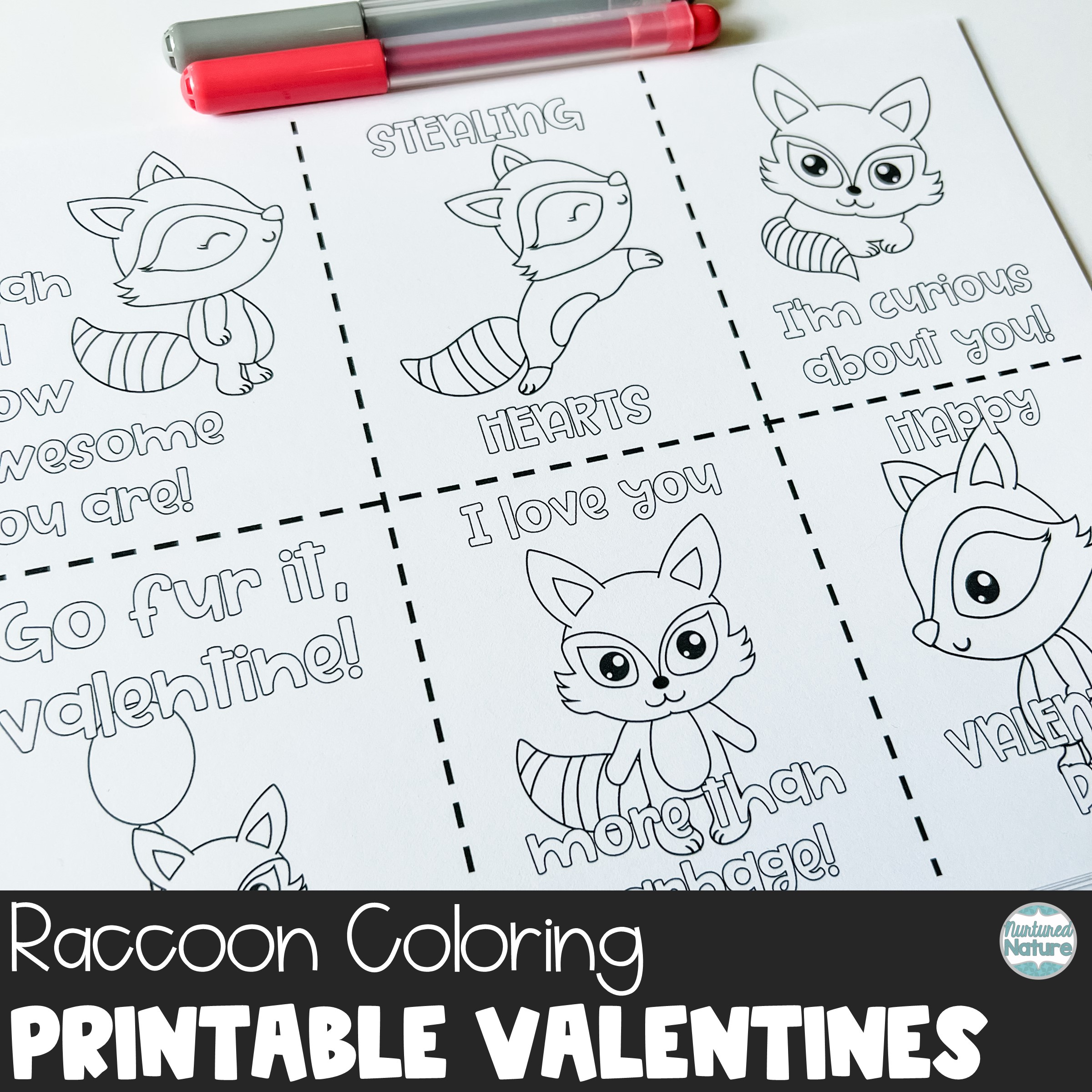 Raccoon Coloring Valentine’s Day Cards for Students | Made By Teachers