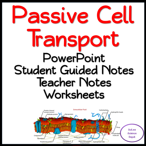 Passive Cell Transport: PowerPoint & Worksheet | Made By Teachers