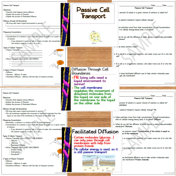 Passive Cell Transport: PowerPoint & Worksheet | Made By Teachers