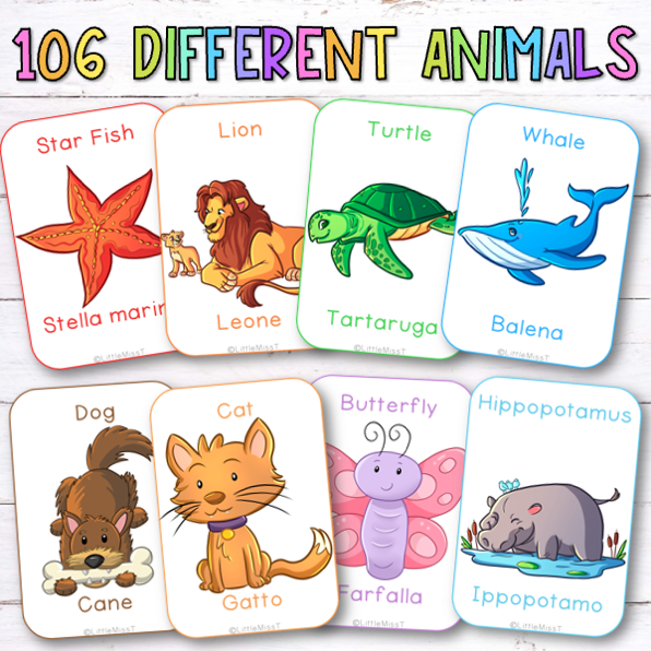 Italian Animal Flashcards - Italian Vocabulary - Learn teach Italian ...