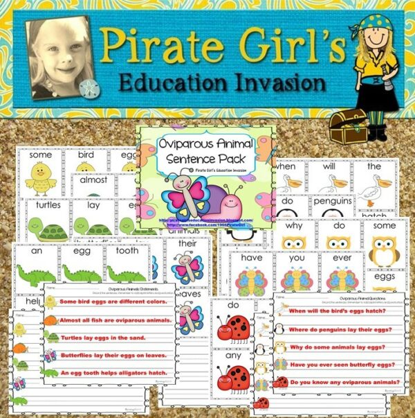 Oviparous Animal Sentence Building Pack | Made By Teachers