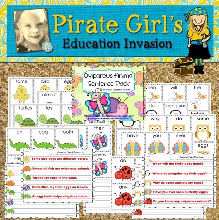 Oviparous Animal Sentence Building Pack | Made By Teachers