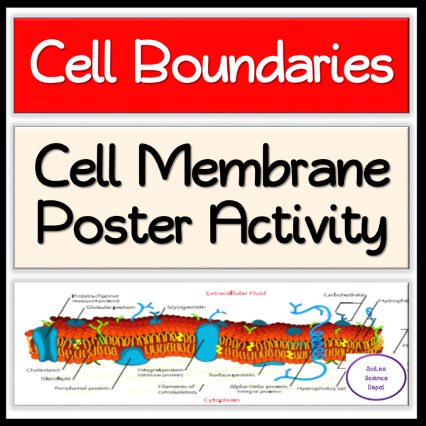 Cell Membrane Poster Activity | Made By Teachers