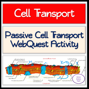 Passive Cell Transport WebQuest Activity | Made By Teachers