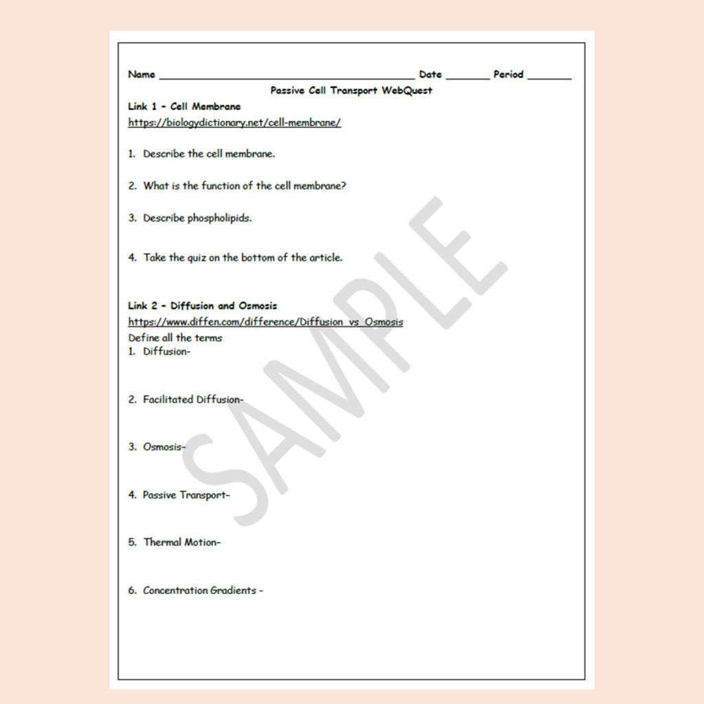 Passive Cell Transport WebQuest Activity | Made By Teachers