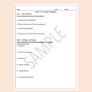Passive Cell Transport WebQuest Activity | Made By Teachers