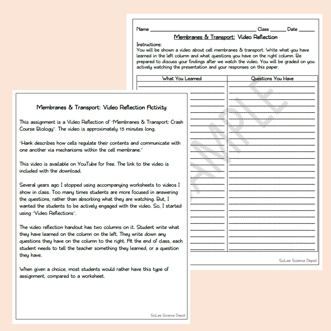 Cell Membranes & Cell Transport Video Reflection Activity VIdeo ...