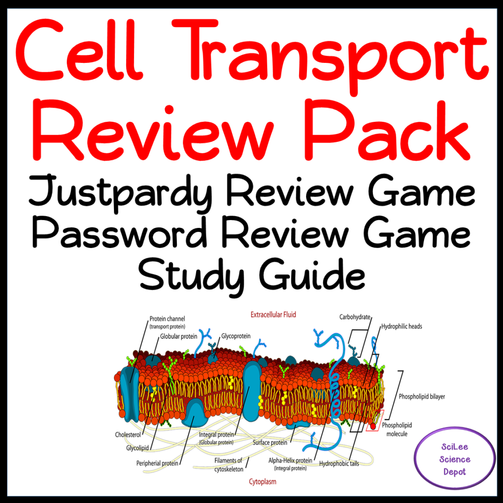 Cell Transport Review Packet | Made By Teachers