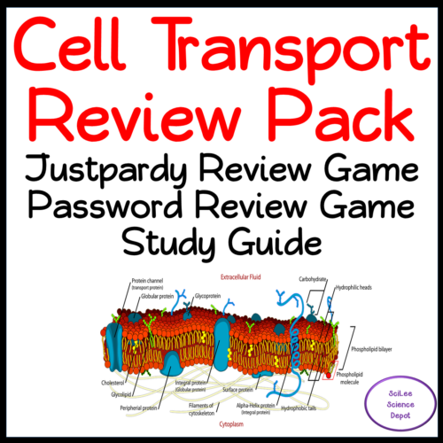 Cell Transport Review Packet | Made By Teachers