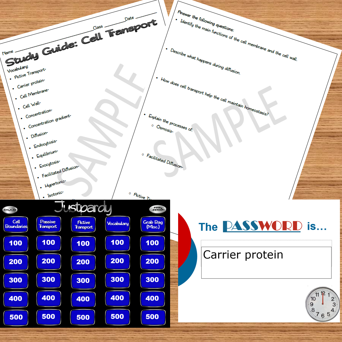 Cell Transport Review Packet | Made By Teachers