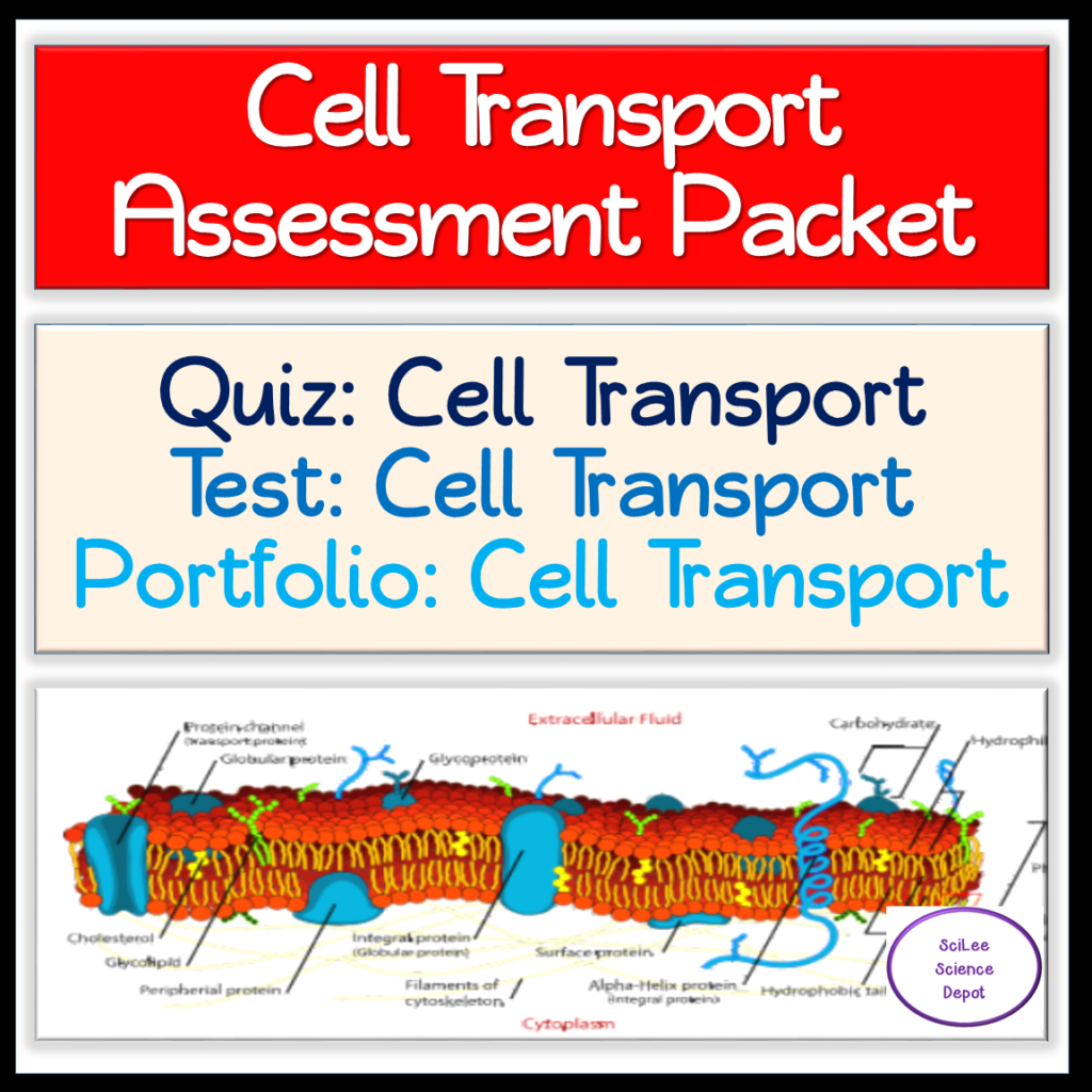 Cell Transport Assessment Packet: Quiz & Two Tests | Made By Teachers