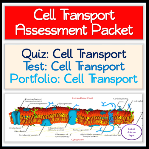 Cell Transport Assessment Packet: Quiz & Two Tests | Made By Teachers