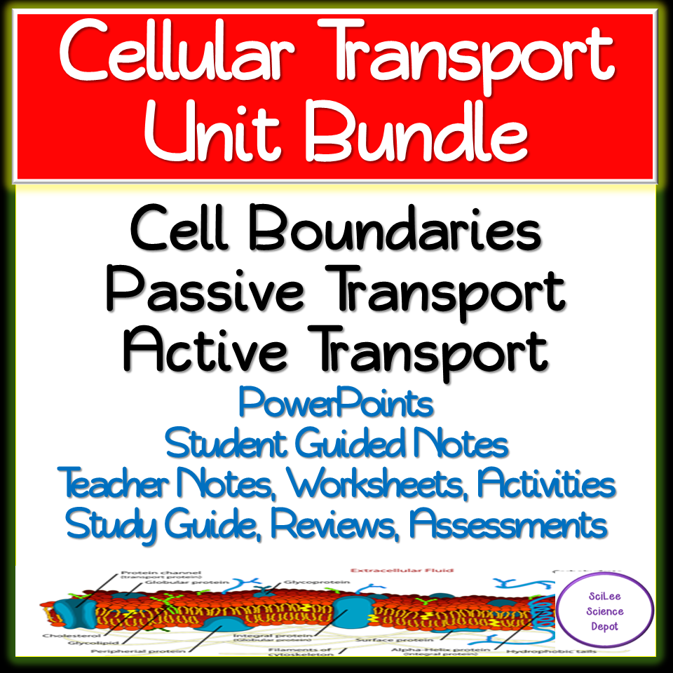 Cell Structure and Function Review Packet | Made By Teachers