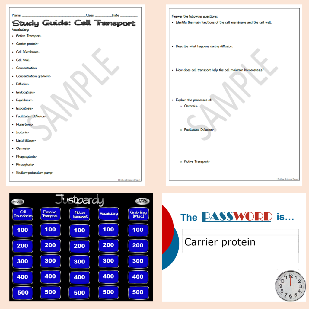 Cell Transport NO PREP Unit Bundle | Made By Teachers