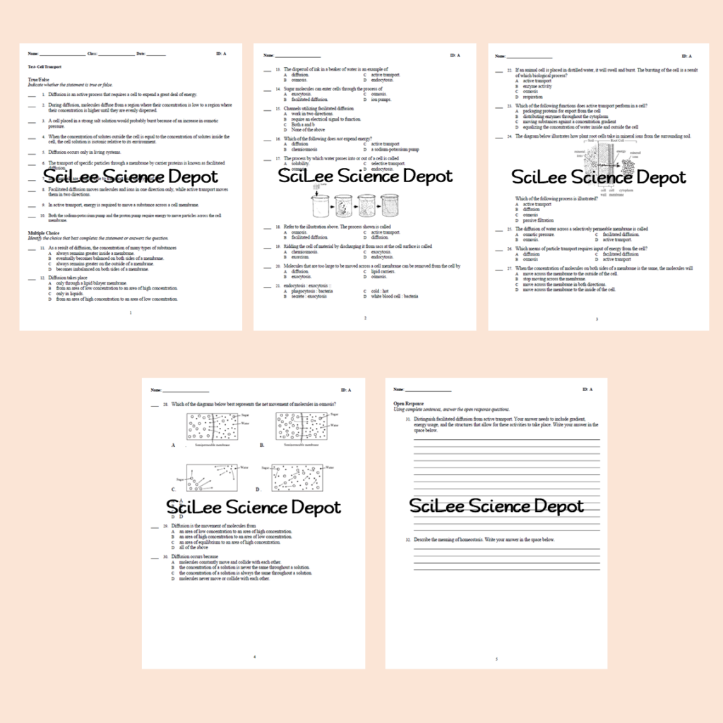 Cell Transport NO PREP Unit Bundle | Made By Teachers