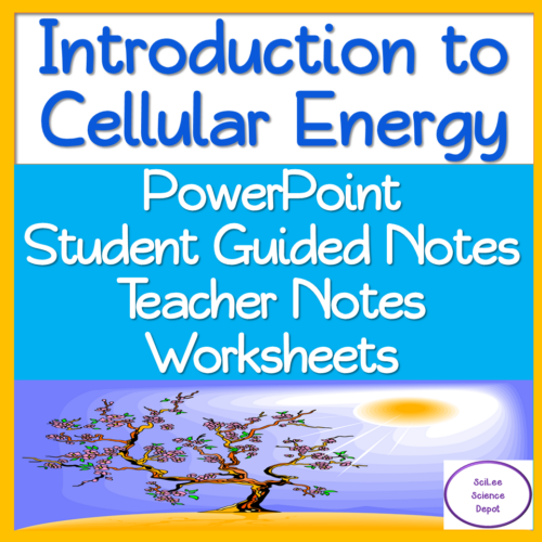 Introduction to Cellular Energy: PowerPoint & Worksheet | Made By Teachers
