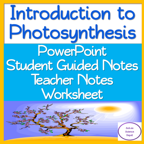 Introduction to Photosynthesis: PowerPoint and Worksheet | Made By Teachers