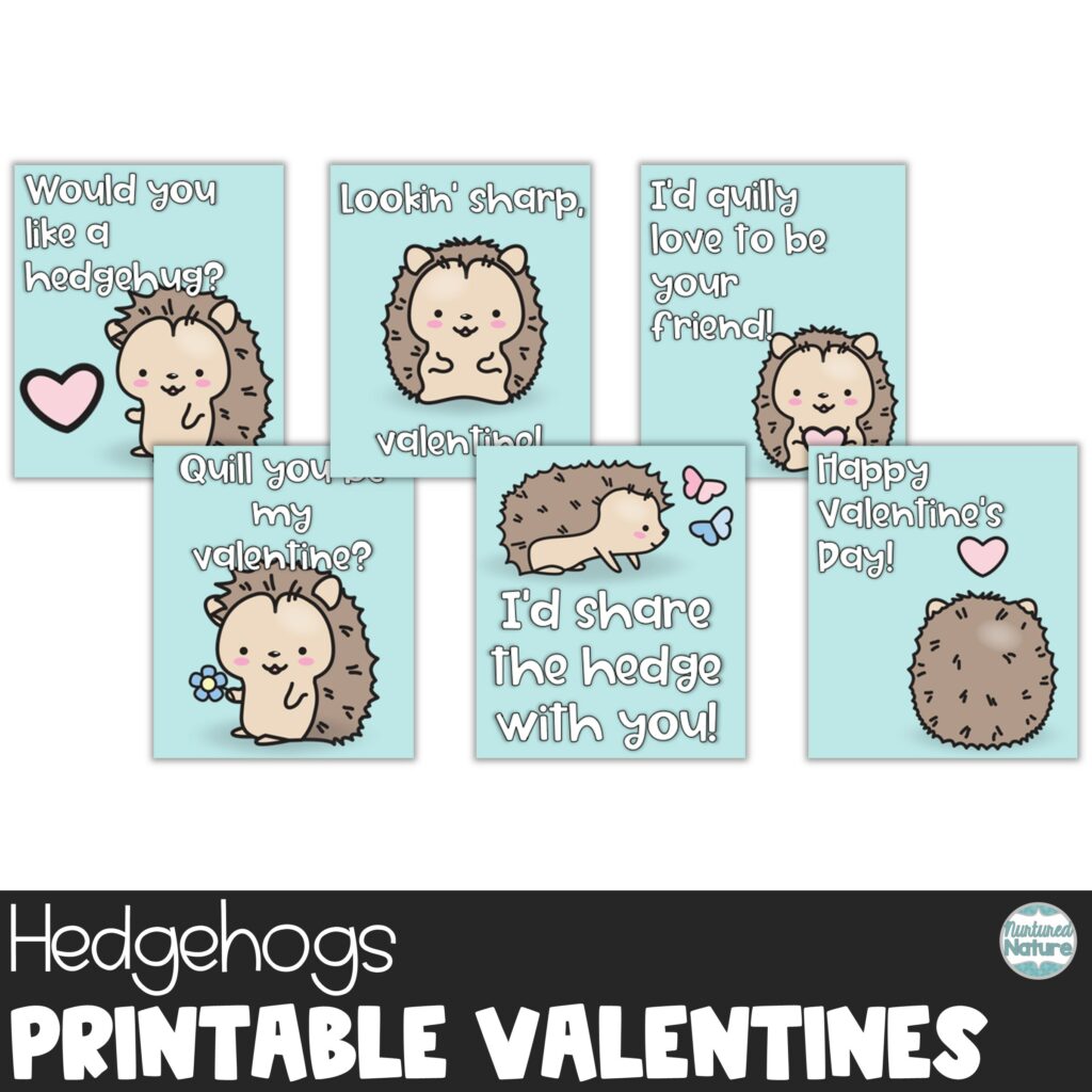 Hedgehog Printable Valentine’s Day Cards for Students | Made By Teachers
