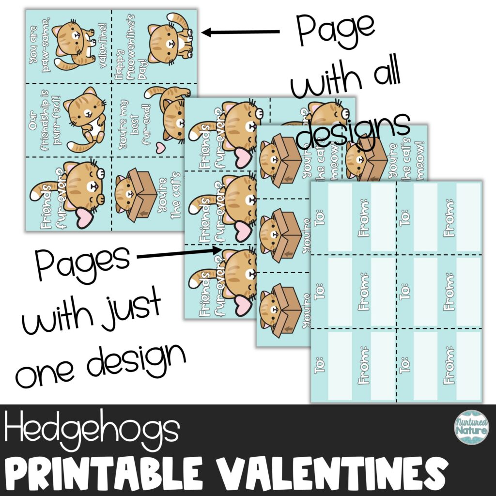 Cat Printable Valentine’s Day Cards for Students | Made By Teachers