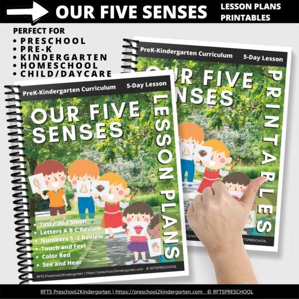 OUR FIVE SENSES CURRICULUM | LESSONS AND PRINTABLES | MATH LITERACY ...