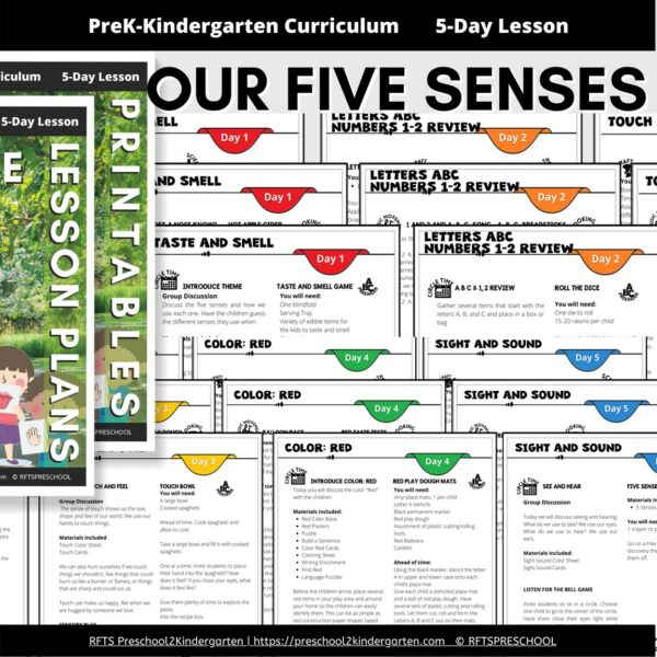 OUR FIVE SENSES CURRICULUM | LESSONS AND PRINTABLES | MATH LITERACY ...
