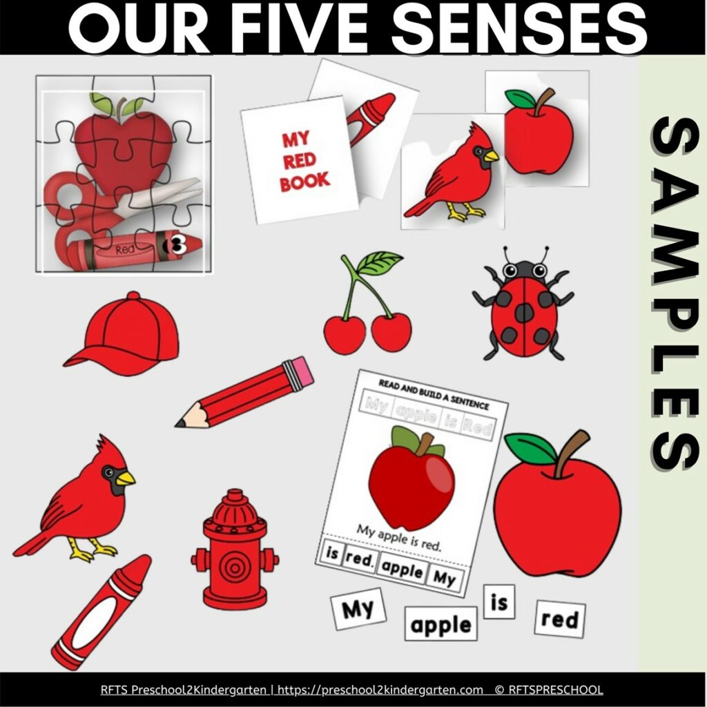 OUR FIVE SENSES CURRICULUM | LESSONS AND PRINTABLES | MATH LITERACY ...