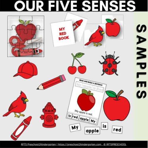 OUR FIVE SENSES CURRICULUM | LESSONS AND PRINTABLES | MATH LITERACY ...