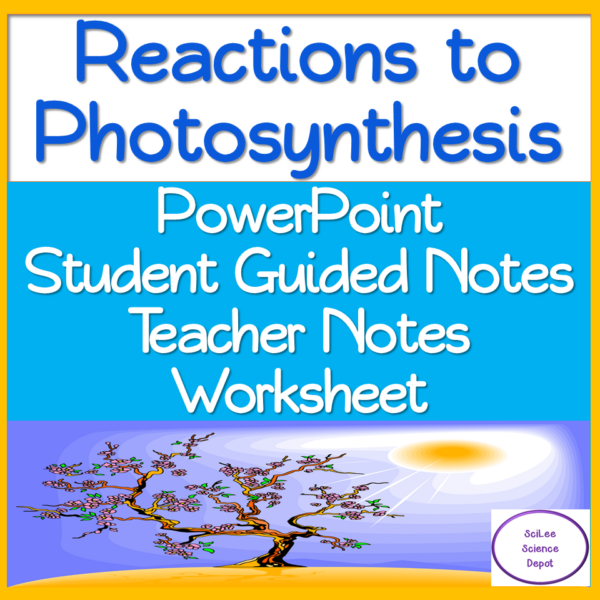 Reactions of Photosynthesis lesson: PowerPoint & Worksheet | Made By ...