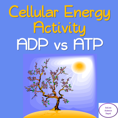 Cellular Energy- ADP vs. ATP Activity | Made By Teachers
