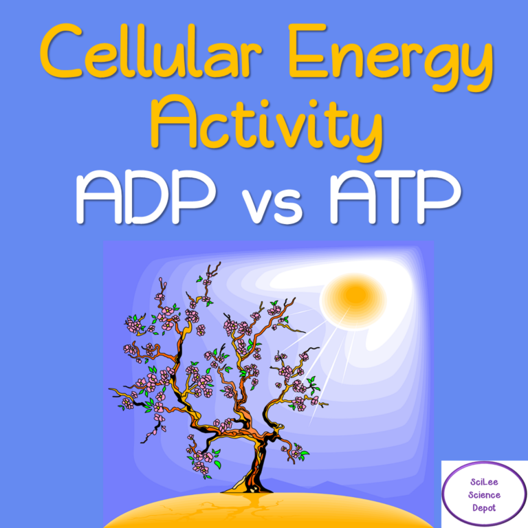 Cellular Energy- ADP vs. ATP Activity | Made By Teachers