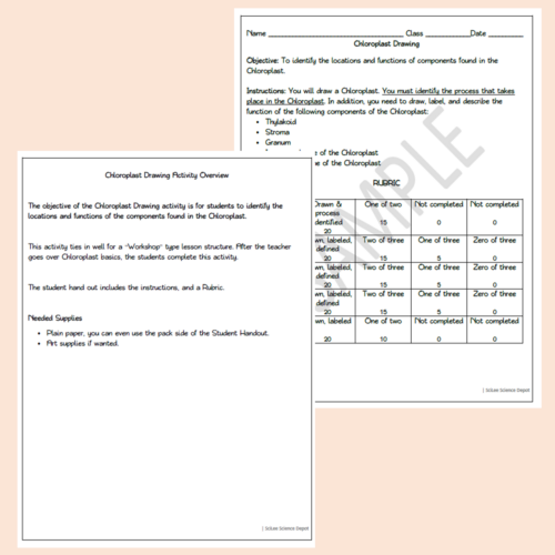 Cellular Energy- Chloroplast Drawing Activity | Made By Teachers