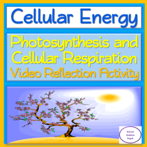 Cellular Energy- Photosynthesis and Cellular Respiration Video ...