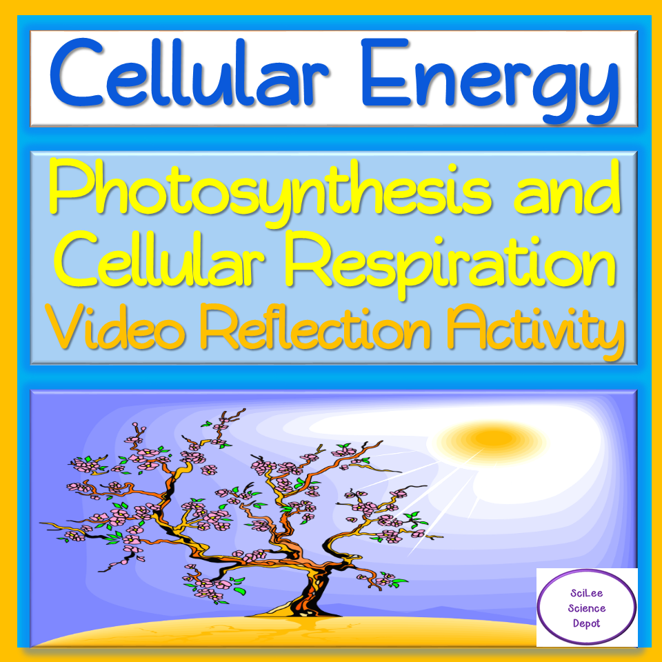 Photosynthesis And Cellular Respiration Project