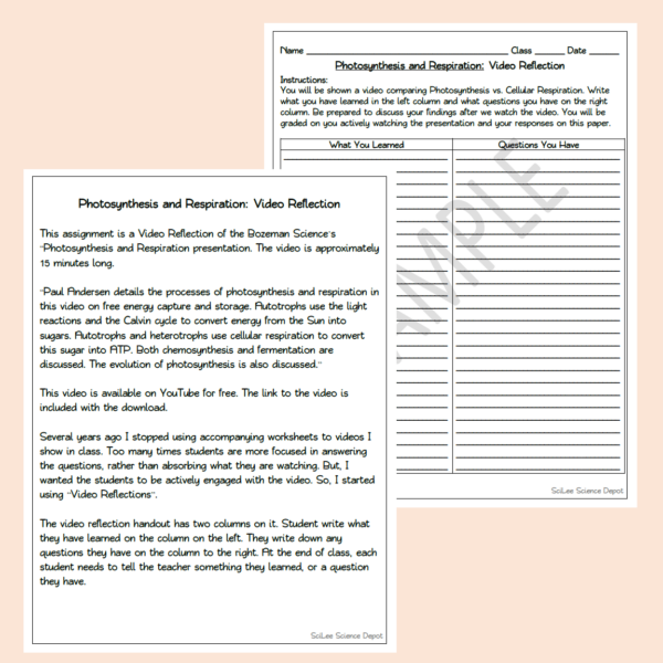 Cellular Energy- Photosynthesis and Cellular Respiration Video ...