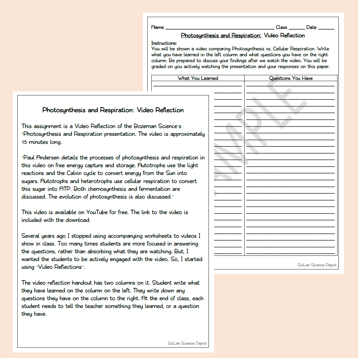 Cellular Energy- Photosynthesis and Cellular Respiration Video ...