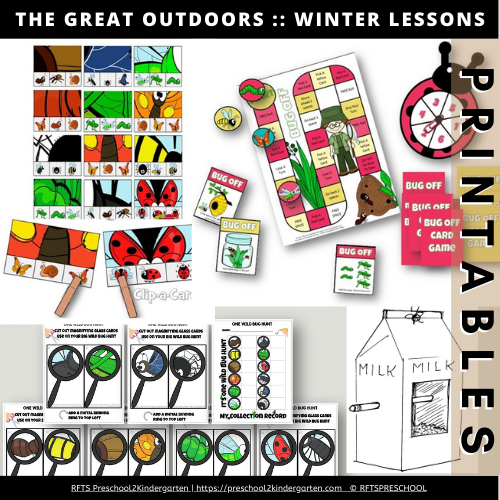 THE GREAT OUTDOORS IN WINTER CURRICULUM | LESSONS AND PRINTABLES | MATH ...
