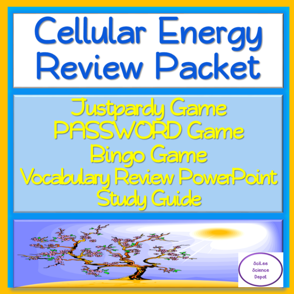 Cellular Energy Review Packet | Made By Teachers